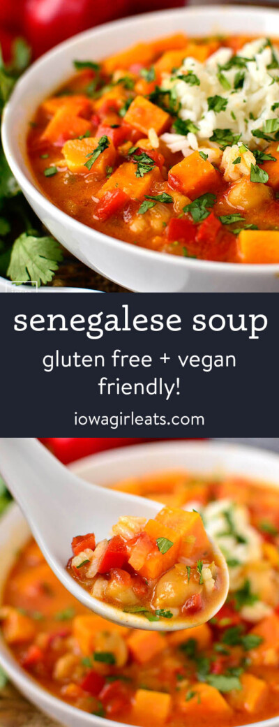 Senegalese Soup - Meatless