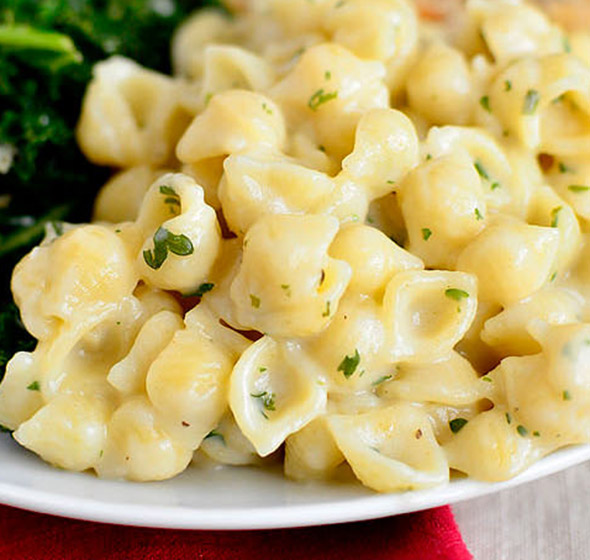 Creamy Garlic Shells - Iowa Girl Eats